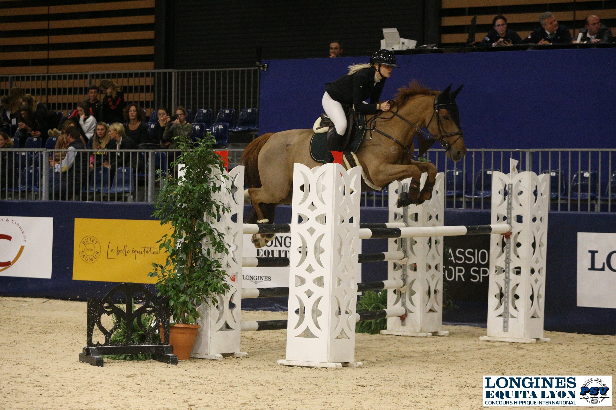 AMATEUR GOLD TOUR - PRIX FFE ESTHEDERM | Equita Lyon