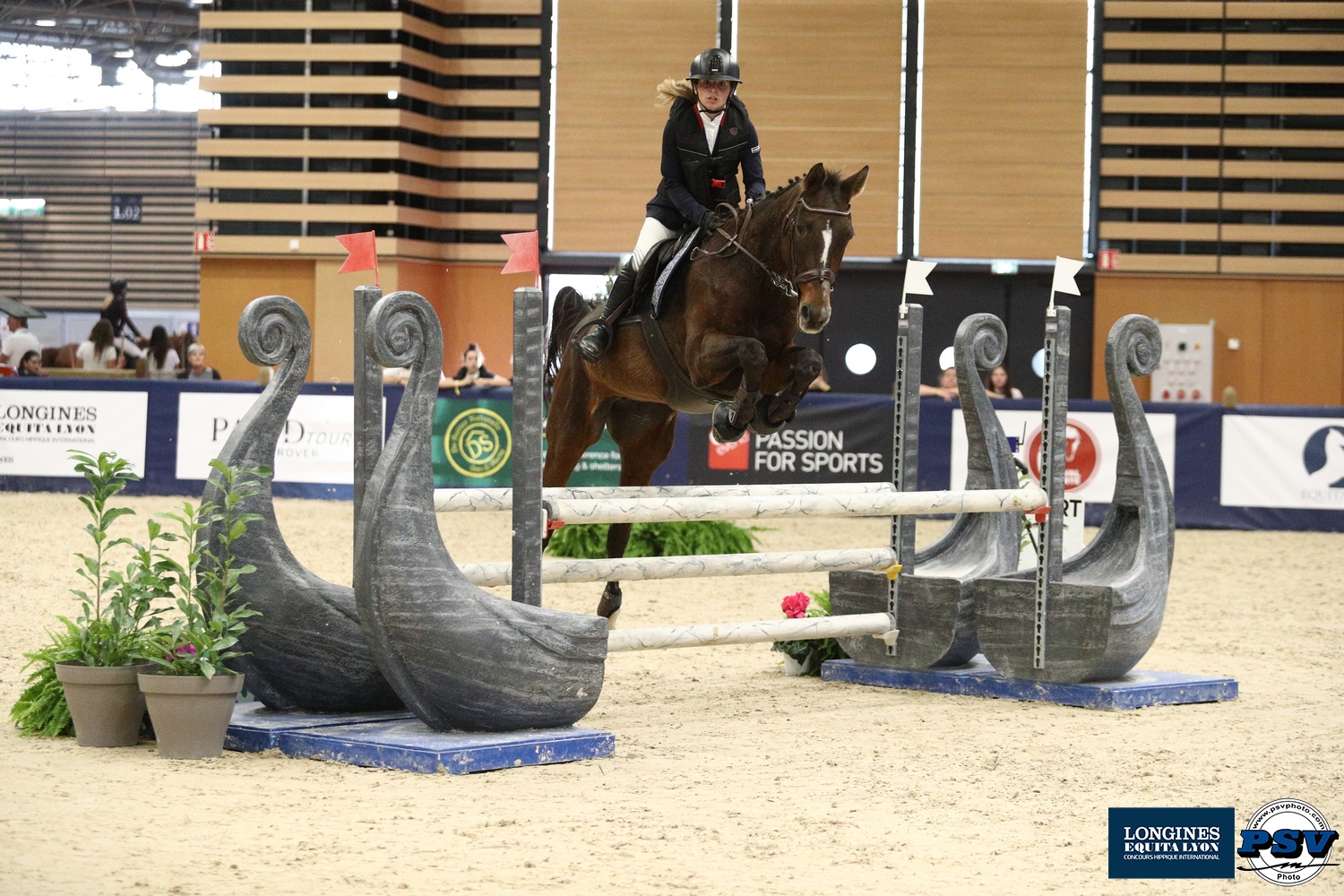 CLUB CHAMPIONNAT REGIONAL - PADD / ROYAL HORSE | Equita Lyon