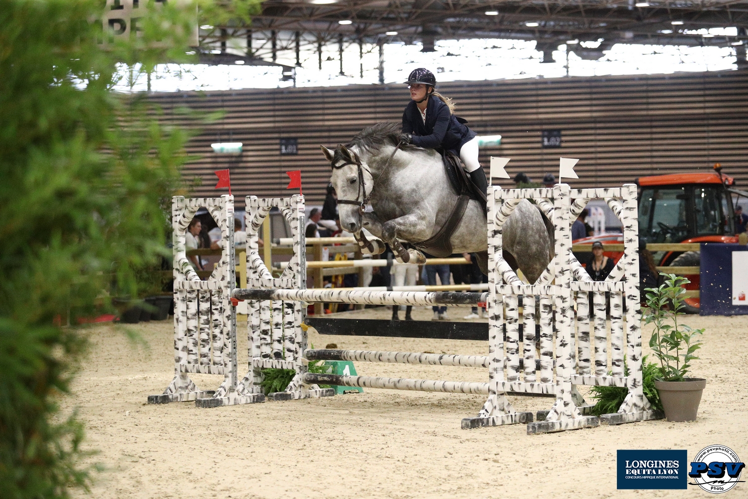 CLUB CHAMPIONNAT REGIONAL - PADD / ROYAL HORSE | Equita Lyon